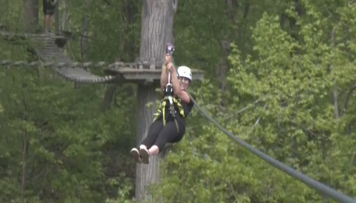 Have a tree-mendous time trekking through the Binbrook Conservation Area