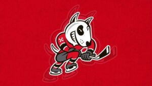 Niagara IceDogs announce major shake-up after OHL review