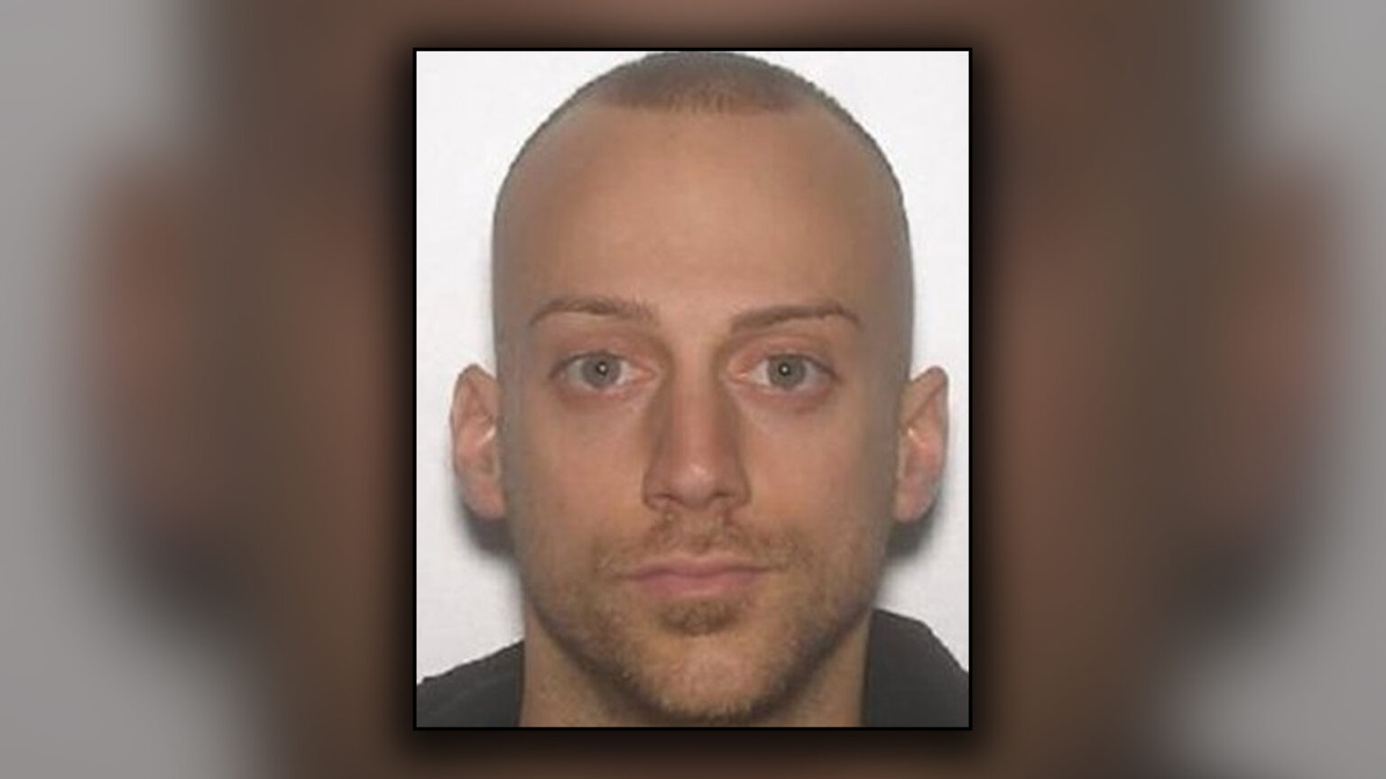 Mexican police detain Hamilton man wanted for 2017 Musitano, Barberi ...