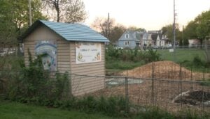 Hamilton council votes to test soil quality at community gardens across ...